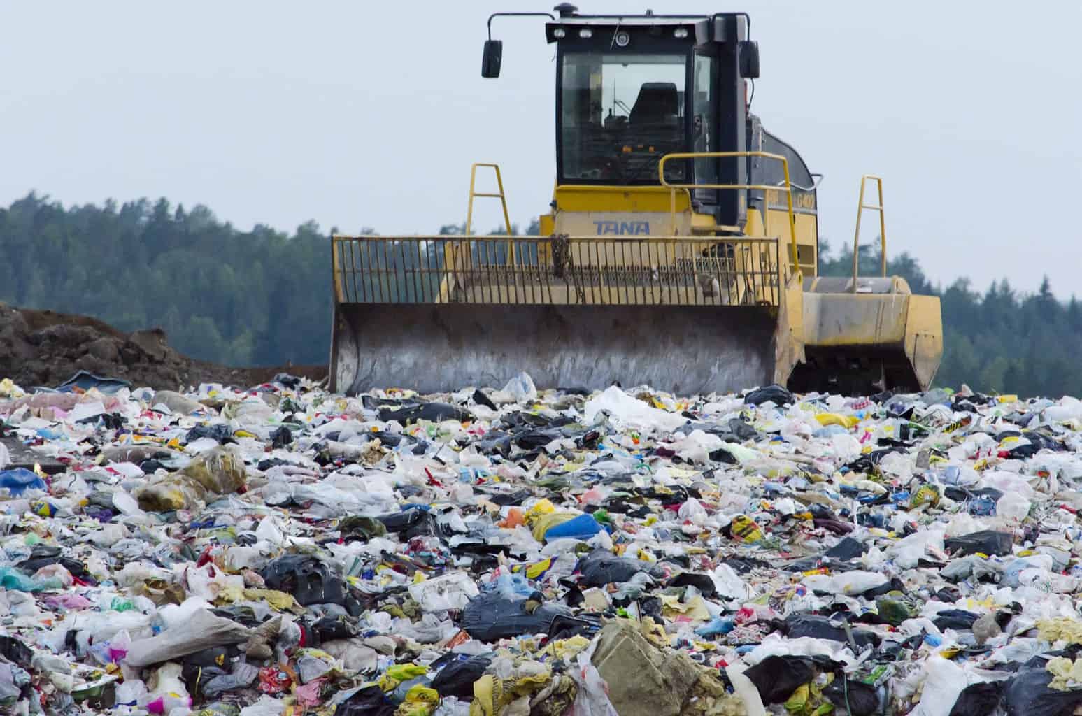 The Best Compostable Garbage Bags (& Why You Should Use Them)