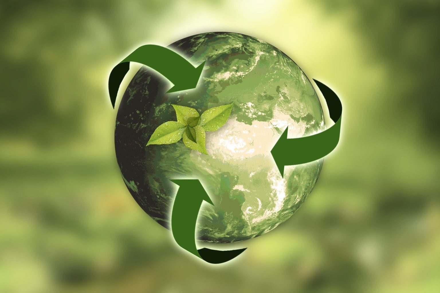 Is Recycling Energy-Efficient? (+ 5 Energy Statistics)
